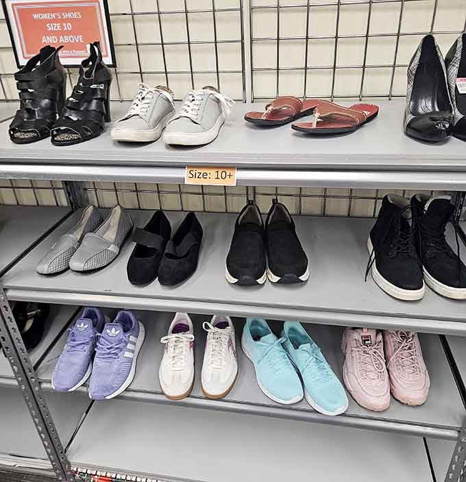 Footwear organized by size like a proper store, proving thrift shopping has finally entered the civilized age.