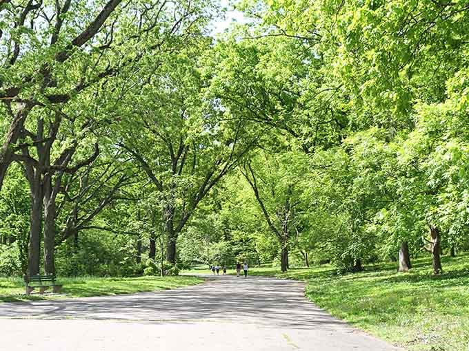 When the canopy overhead creates natural air conditioning, you've found Boston's sweetest summer escape.