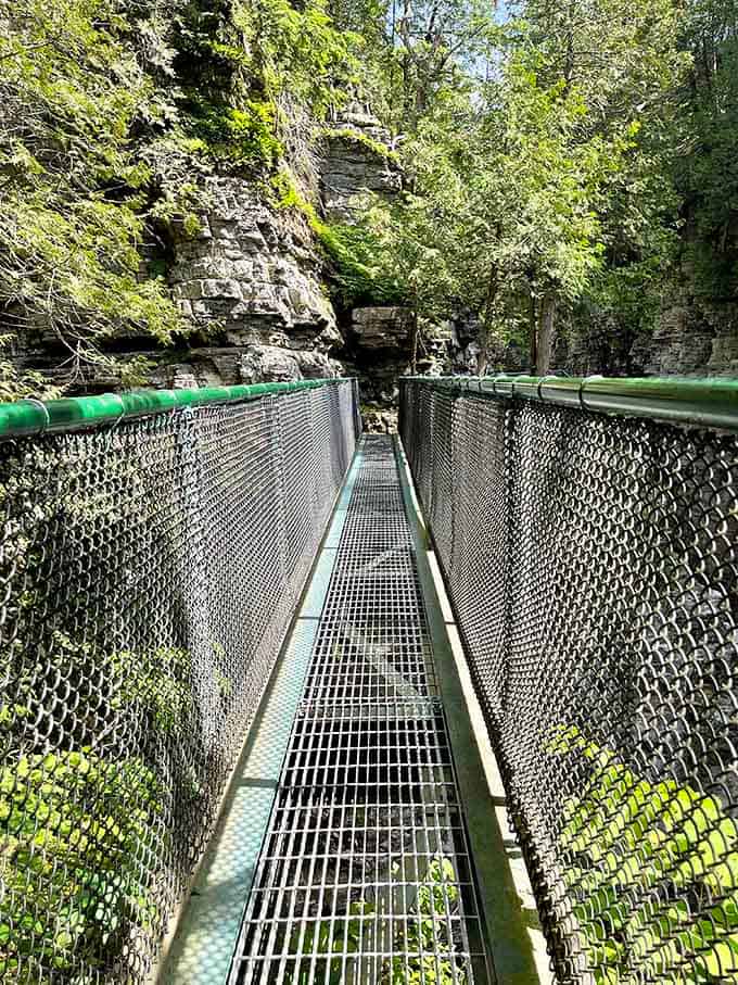 On a hanging bridge, every footfall feels like moving through the story of the earth carved over centuries.
