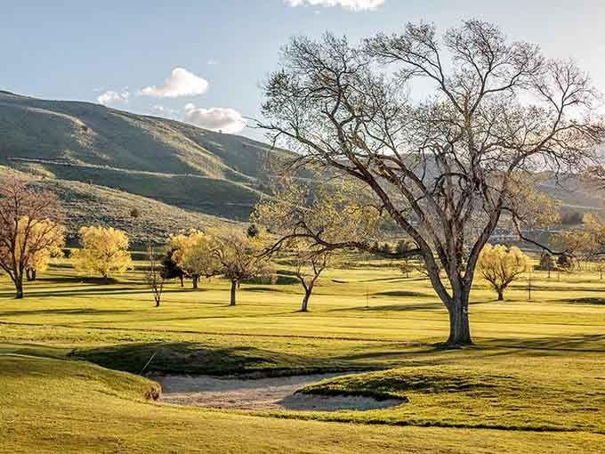 Quail Ridge Golf Course offers mountain views that'll distract you from your terrible swing, which is honestly a blessing.