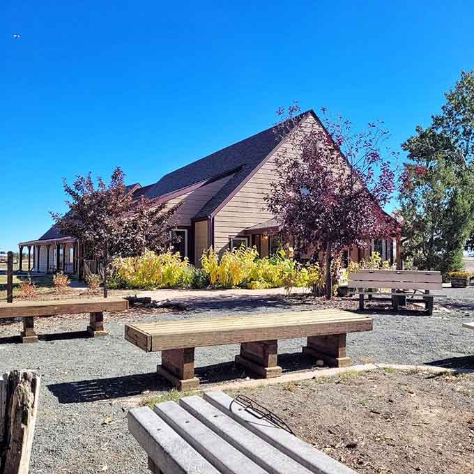 This charming building houses everything you need to know before hitting the trails in search of soaring raptors.