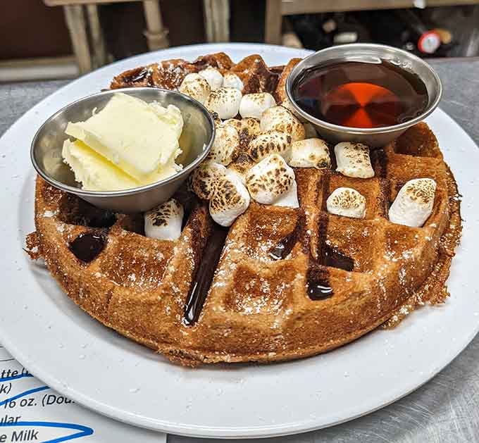 S'mores waffle situation that belongs on a vision board, complete with toasted marshmallows and chocolate drizzle dreams.