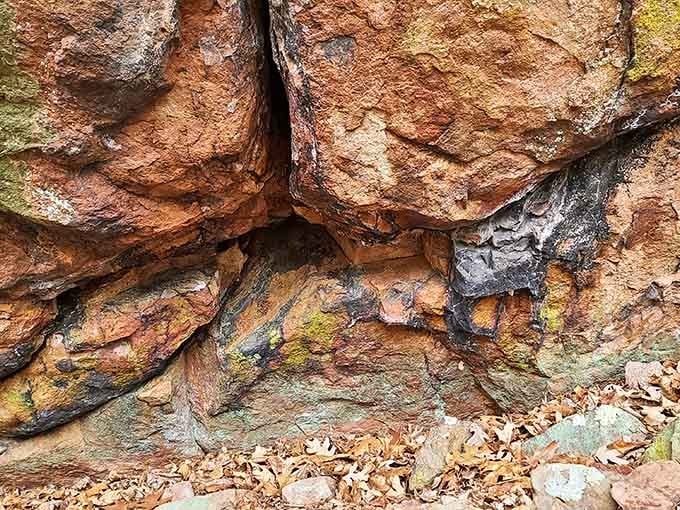 These weathered volcanic rocks have seen more Missouri seasons than anyone can count, and they're still standing strong.