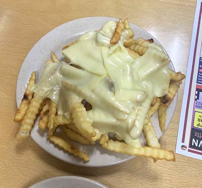 Cheese fries that take the concept of "gilding the lily" and run with it in the best possible way.