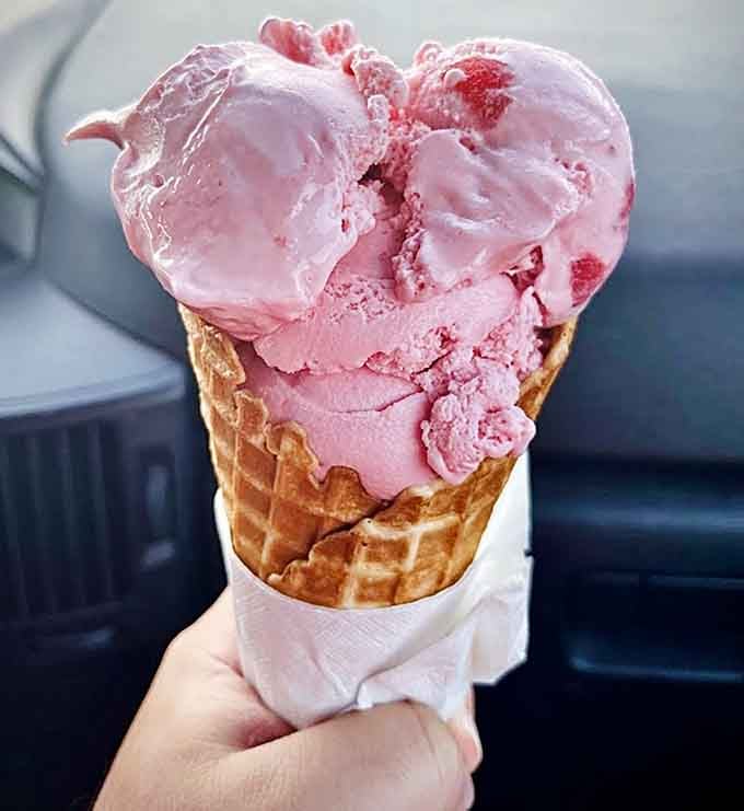 Pink ice cream in a waffle cone that looks like summer tastes, even when it's raining outside again.