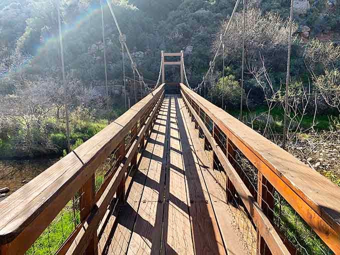 This suspension bridge adds a touch of adventure to your botanical stroll, minus the Indiana Jones danger factor.