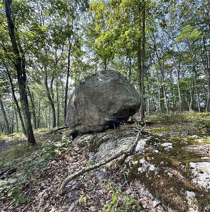 Ancient glacial boulders dot the landscape, reminding you that Connecticut has serious geological street cred.