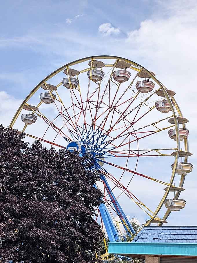 The Ferris wheel offers that classic carnival view, reminding you exactly how much walking you've done today. Spoiler: it's a lot.