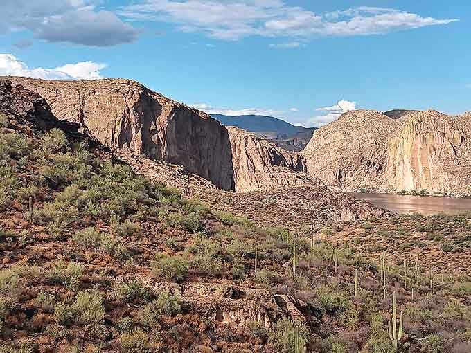 Saguaros standing sentinel over the shimmering lake create a landscape that confuses geography teachers and delights everyone else.