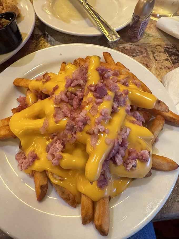 Cheese fries topped with what appears to be pure happiness, because sometimes you need comfort food that doesn't apologize.