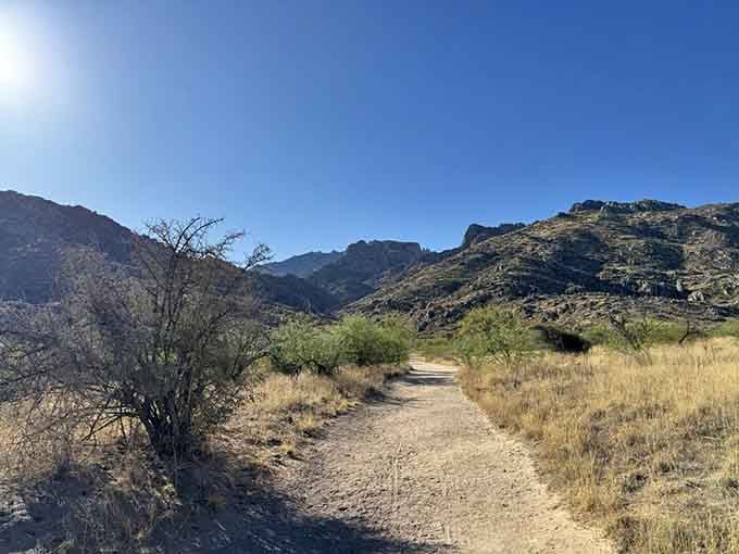 Golden grasslands and mountain views create the kind of scenery that makes you forget you're still in Arizona.