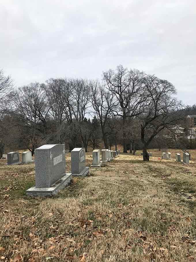 Bare winter branches create intricate patterns overhead while monuments below stand as silent witnesses to history's march.
