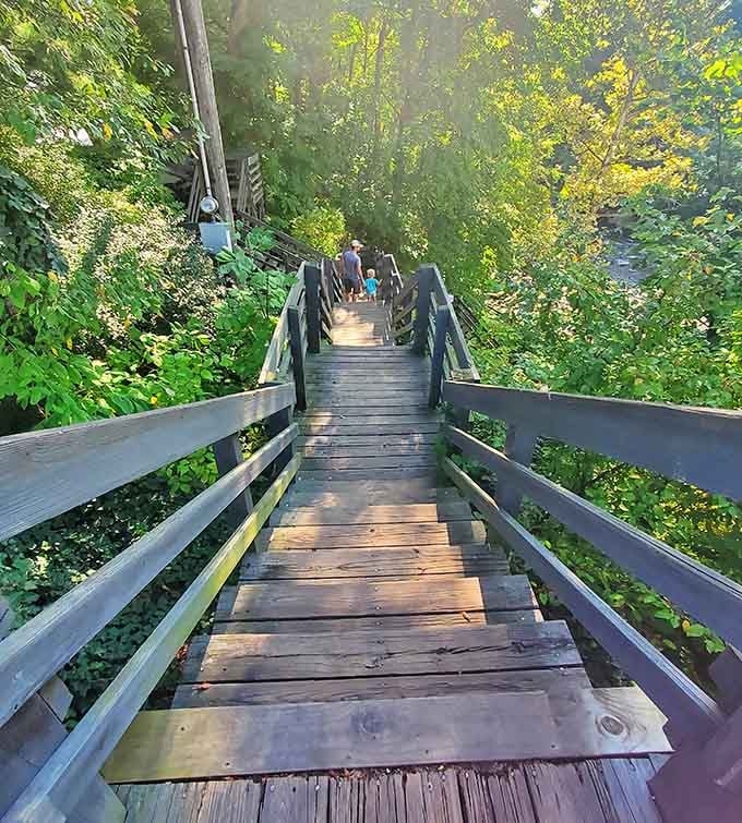 These stairs take you down to viewing platforms where the mist becomes your personal air conditioning system.