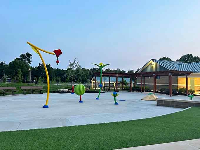 Ted Lewis Park's splash pad turns summer afternoons into the kind of memories kids actually remember fondly.