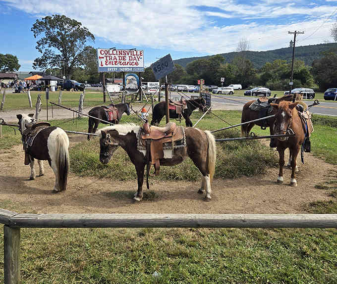 Ponies saddled and ready for young cowboys, because sometimes the best shopping trips include unexpected four-legged entertainment.