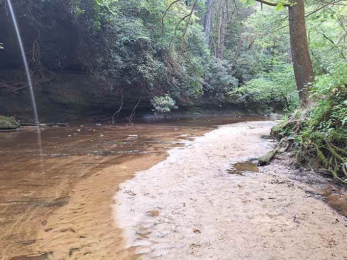 The kind of peaceful stream that makes you want to sit and contemplate life's mysteries, or lunch.