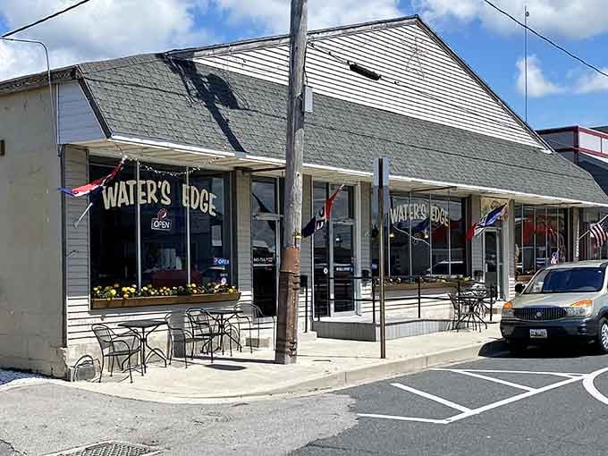 Waterfront dining spots serve the day's catch with zero pretension, just honest food in honest surroundings.