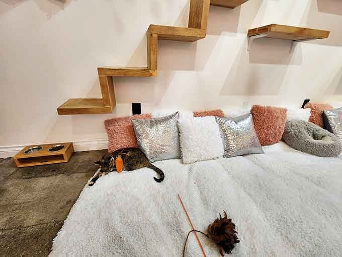 Geometric wall shelves provide the perfect cat highway, because why walk on floors when you can reign from above?