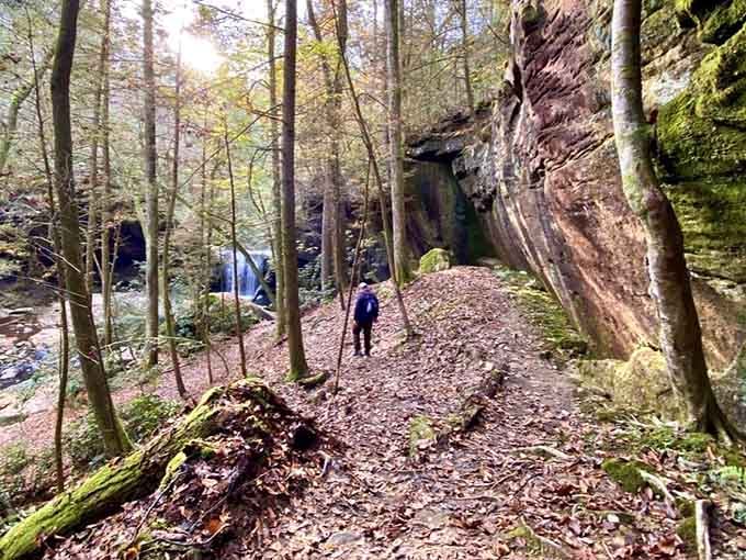 Forest trails wind through ancient rock formations, making you feel like an explorer discovering uncharted territory every step.