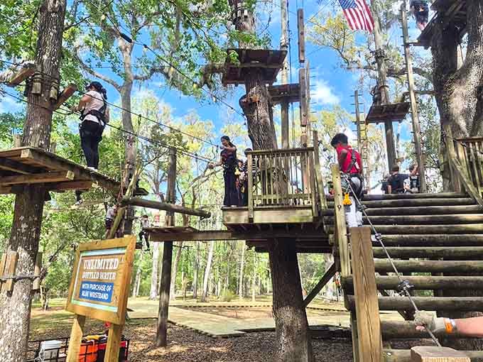 Treetop platforms and rope bridges turn ordinary adults into adventurers, proving age is just a number.