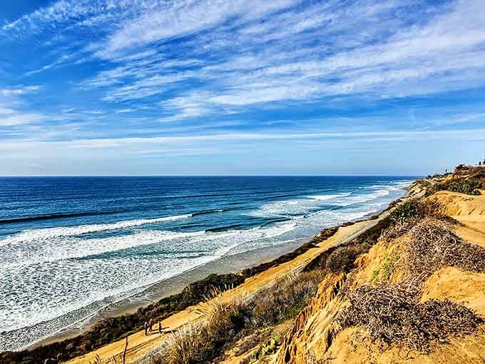 Bluffs overlooking the Pacific, because Del Mar believes in giving you the good seats for free.