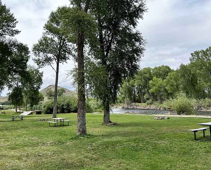 Woods and River RV Park offers shaded picnic spots where the only agenda is relaxation and maybe a sandwich.