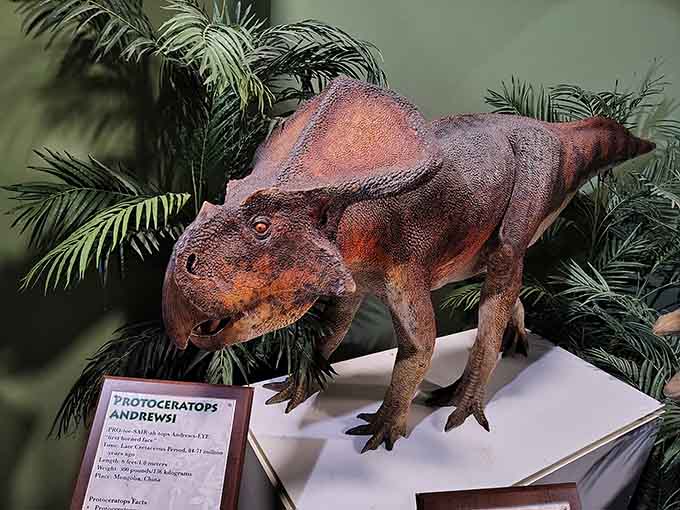 This Protoceratops andrewsi shows off coloring that makes modern lizards look positively boring by comparison standards.