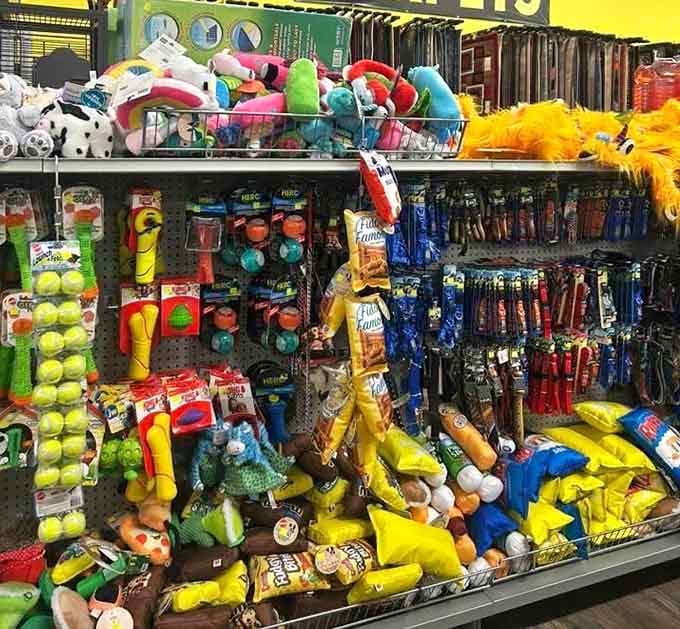 Spoiling your furry friends becomes guilt-free when toys cost less than your morning bagel.