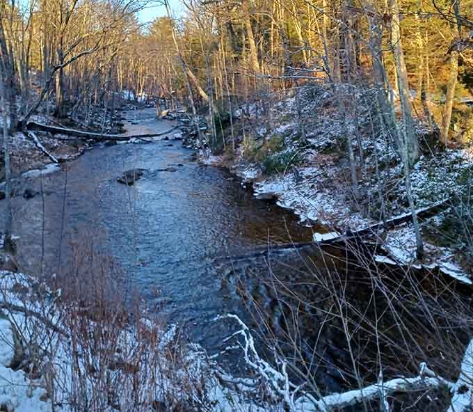 The peaceful stretch of Lawrence Brook where you can actually hear yourself think for once.