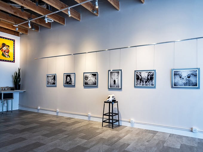 Studio 917 showcases local artists proving that culture doesn't require a Manhattan zip code to flourish.