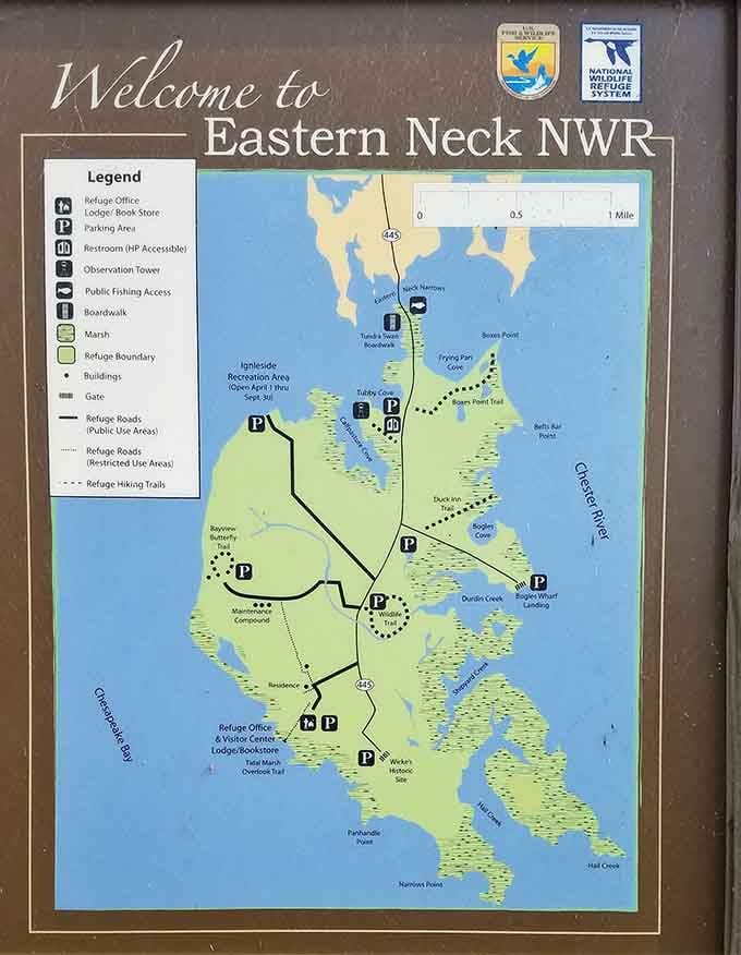 This map shows you exactly where to find peace, quiet, and more birds than a Hitchcock film.