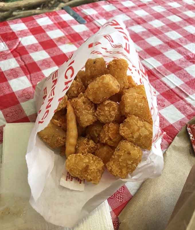 Golden tater tots and chicken strips: the dynamic duo that never disappoints hungry souls everywhere.