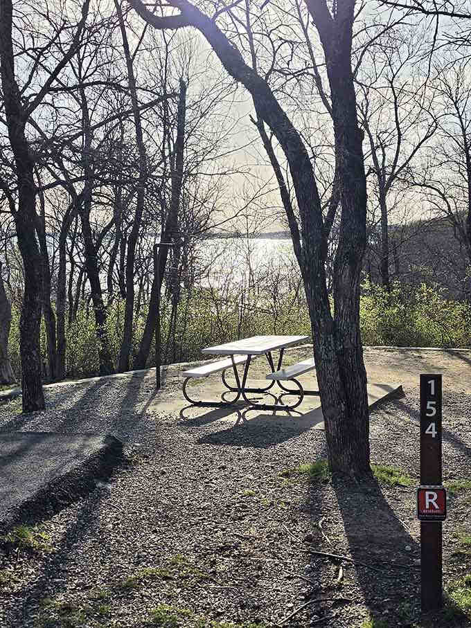 A picnic table with a lake view beats any fancy restaurant patio, and I will absolutely die on this hill.