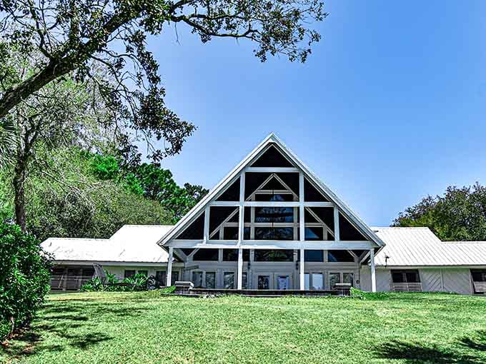 Modern architecture nestled among ancient oaks creates a peaceful sanctuary that feels both contemporary and timeless at once.