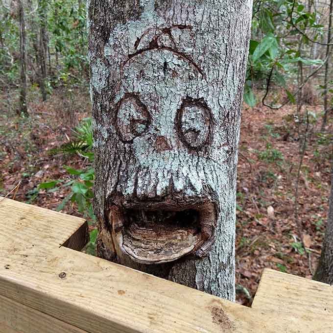 Even the trees have personality here, though this one might need to work on its welcoming smile.
