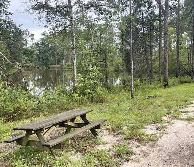 Picnic spots by the lake where lunch comes with a view instead of a drive-through window speaker.
