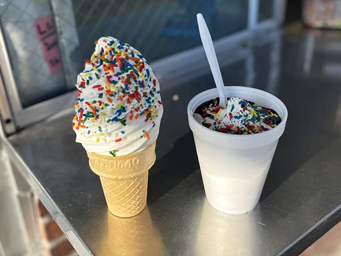 Ice cream with rainbow sprinkles is the perfect sweet ending after all that savory, crispy goodness.
