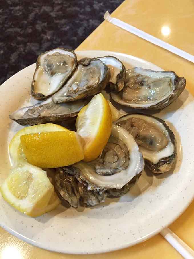 Fresh oysters on the half shell, bringing a touch of coastal elegance to your all-you-can-eat adventure in Newark.