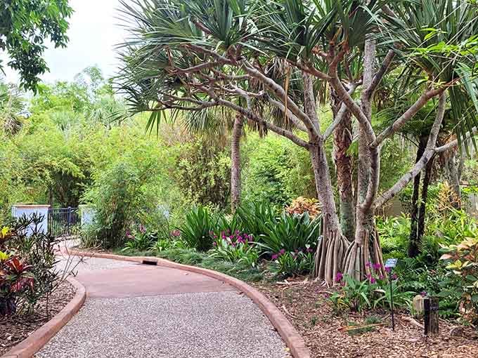 Curved pathways disappear into tropical foliage, beckoning you to explore what's around every verdant corner ahead.