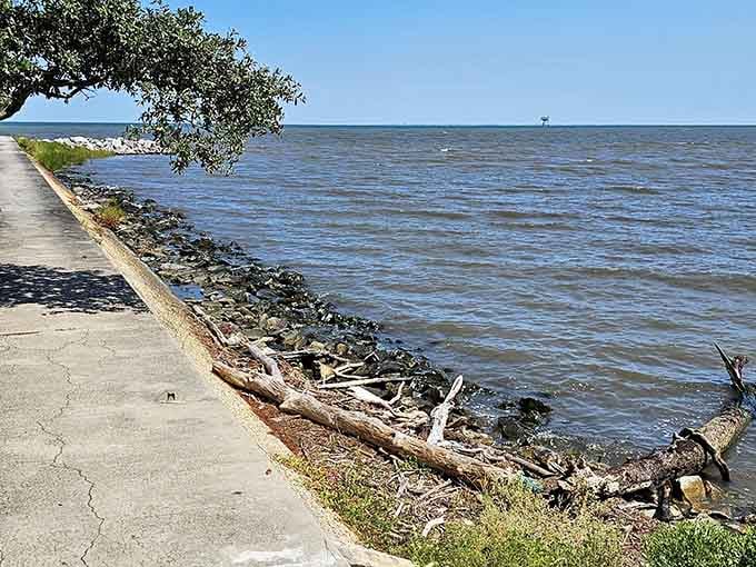 The bay side offers calmer waters and driftwood treasures, perfect for beachcombers who prefer their adventures peaceful.