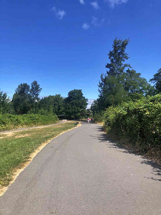 Paved paths wind through the park like they're inviting you to explore every corner at your own pace.