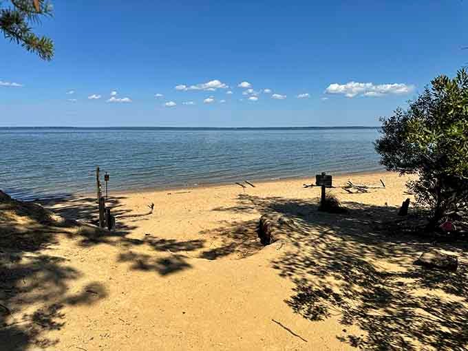 The calm Potomac stretches wide and inviting, looking nothing like the prehistoric sea it once was, thankfully minus the megalodon.