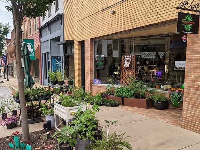 Sidewalk planters overflow with greenery, proving downtown merchants care deeply about creating welcoming spaces for every visitor passing.