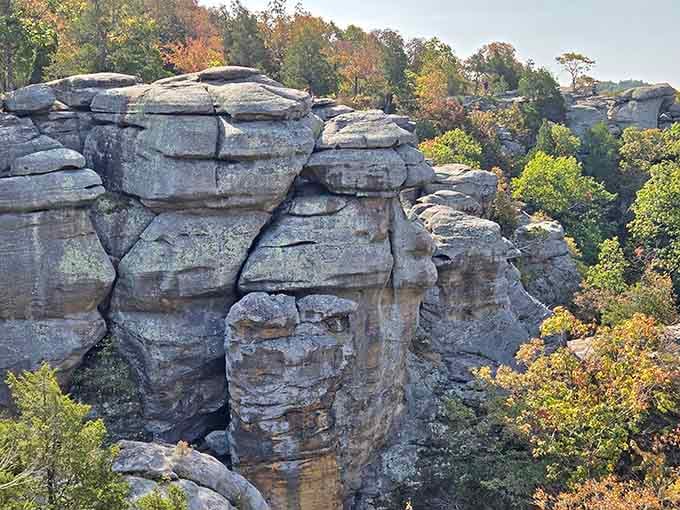 Camel Rock rises from the forest like a geological sculpture, proof that wind and water are patient artists.