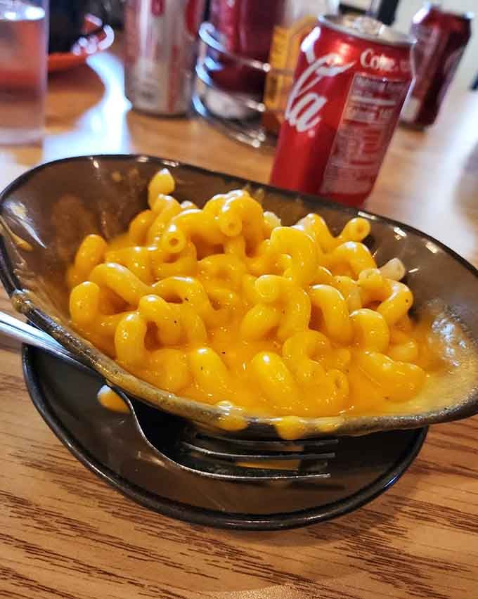 Macaroni and cheese glows like liquid gold in its bowl, creamy and indulgent as childhood memories made real.