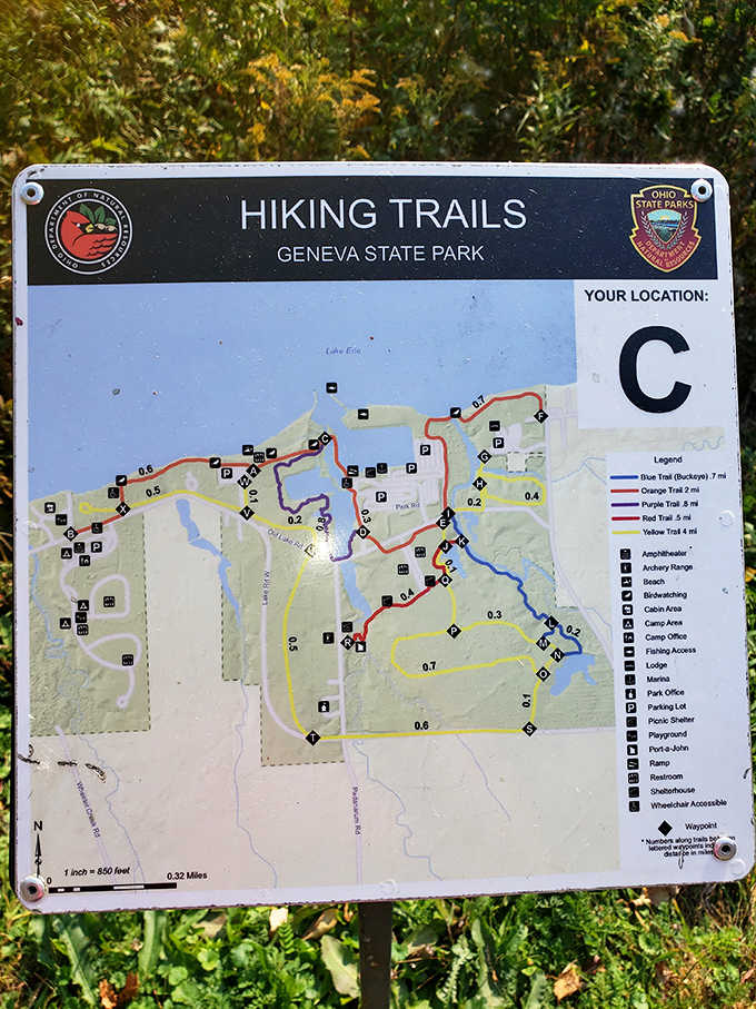 Color-coded trails mapped out like a treasure hunt, because getting wonderfully lost requires excellent planning first.
