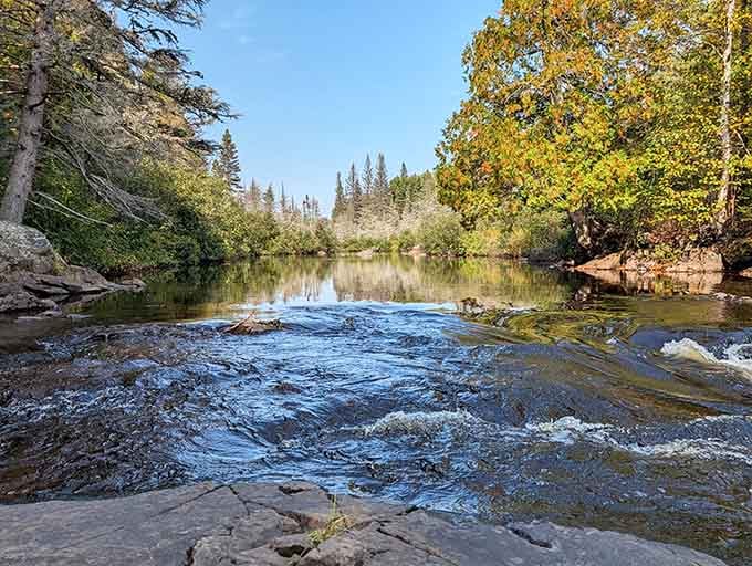 The river creates mirror-perfect reflections that make you question which way is up in this wilderness.