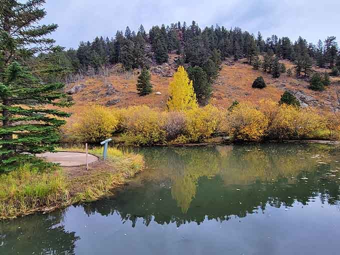Kriley Pond in fall is basically nature showing off, and honestly, we're not complaining about the view.