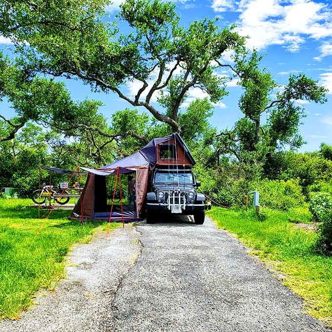 Camping here means waking to bay breezes and falling asleep to waves, nature's original white noise machine.