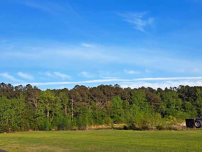 Alice F. Keene Park's open fields remind us that sometimes the best playground is just space.